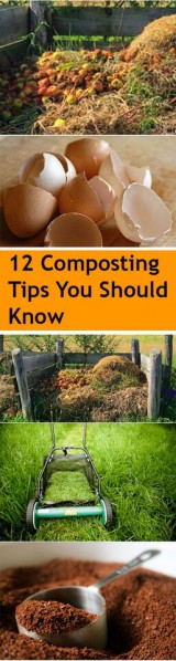 12 Composting Tips You Should Know ~ Bless My Weeds