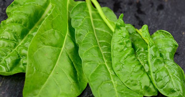 Best Cold-Hardy Crops for Winter ~ Bless My Weeds