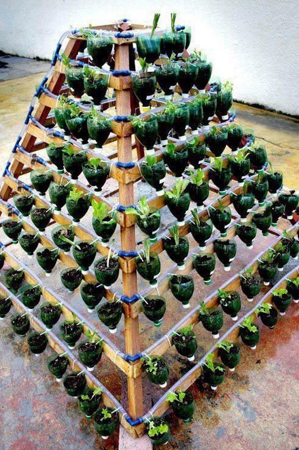 20 Amazing Vertical Gardens ~ Bless My Weeds
