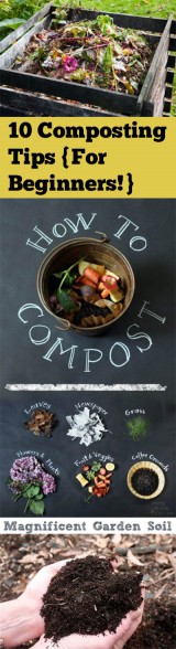 10 Composting Tips for Beginners ~ Bless My Weeds