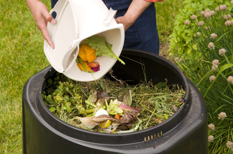 10 Composting Tips for Beginners ~ Bless My Weeds