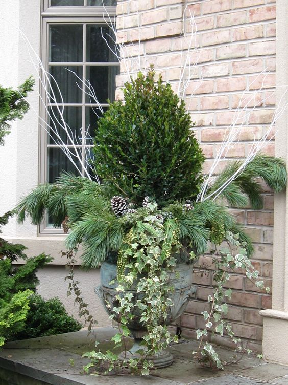 12 CHRISTMAS CONTAINER DISPLAYS TO INSPIRE YOU - gardenpicsandtips.com