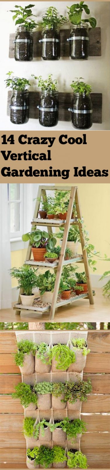 14 Crazy Cool Vertical Gardening Ideas ~ Bless My Weeds