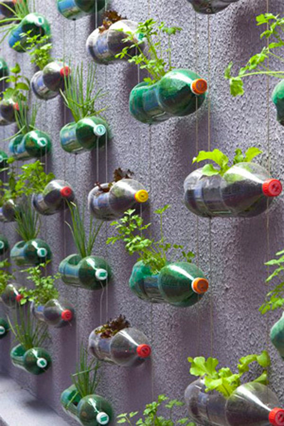 14 Crazy Cool Vertical Gardening Ideas ~ Bless My Weeds