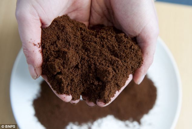 12 Ways to Recycle Coffee Grounds ~ Bless My Weeds
