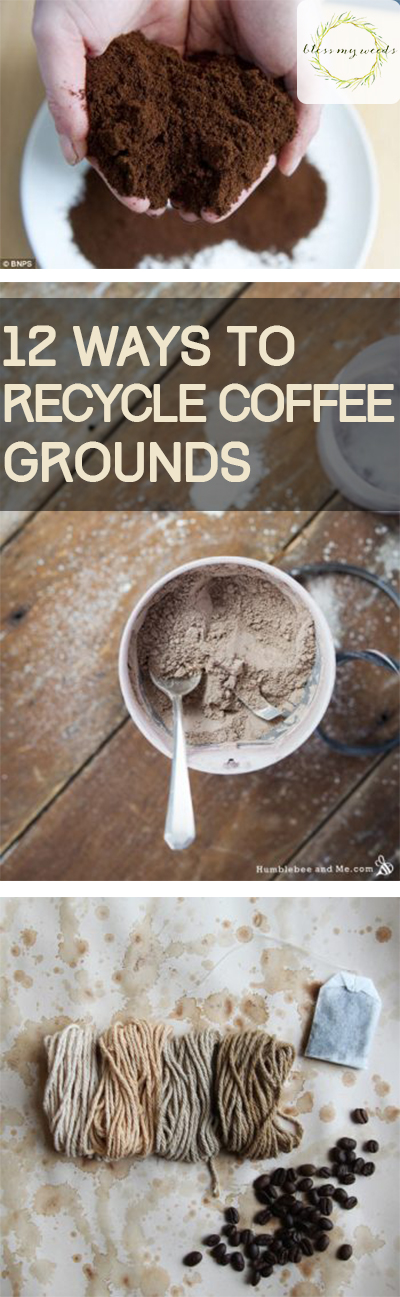12 Ways to Recycle Coffee Grounds ~ Bless My Weeds
