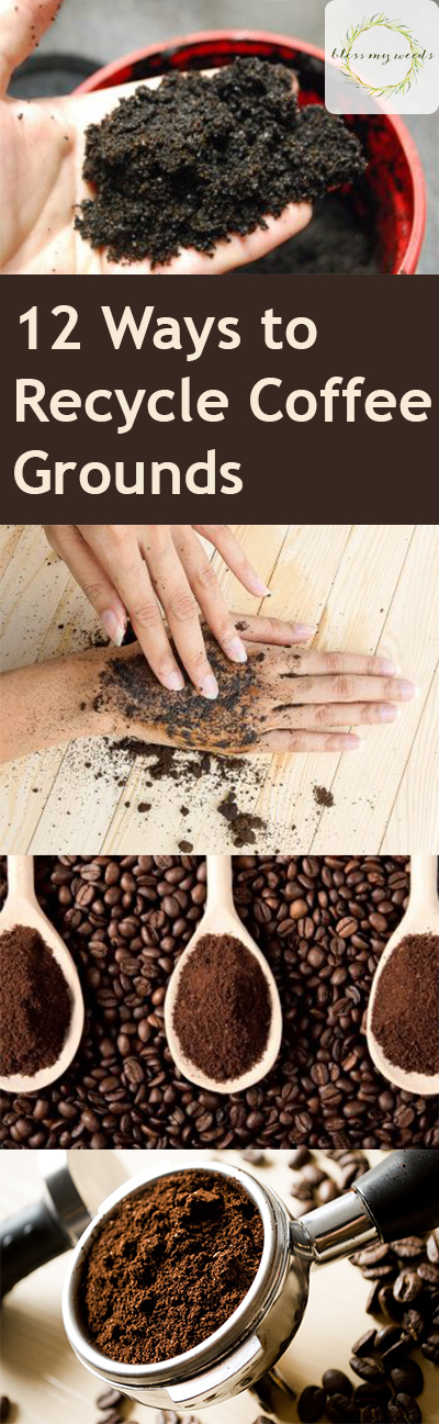 12 Ways to Recycle Coffee Grounds ~ Bless My Weeds