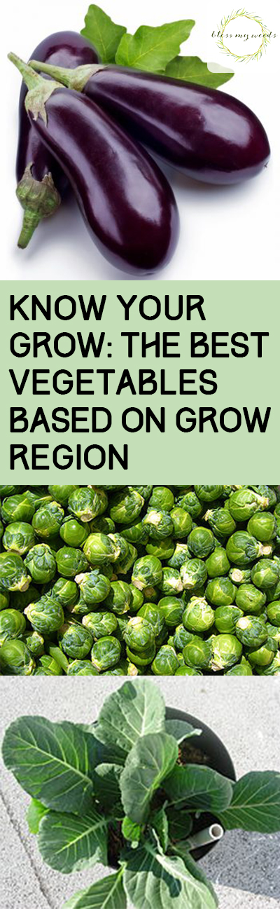 Know Your Grow: The Best Vegetables Based on Grow Region ~ Bless My Weeds