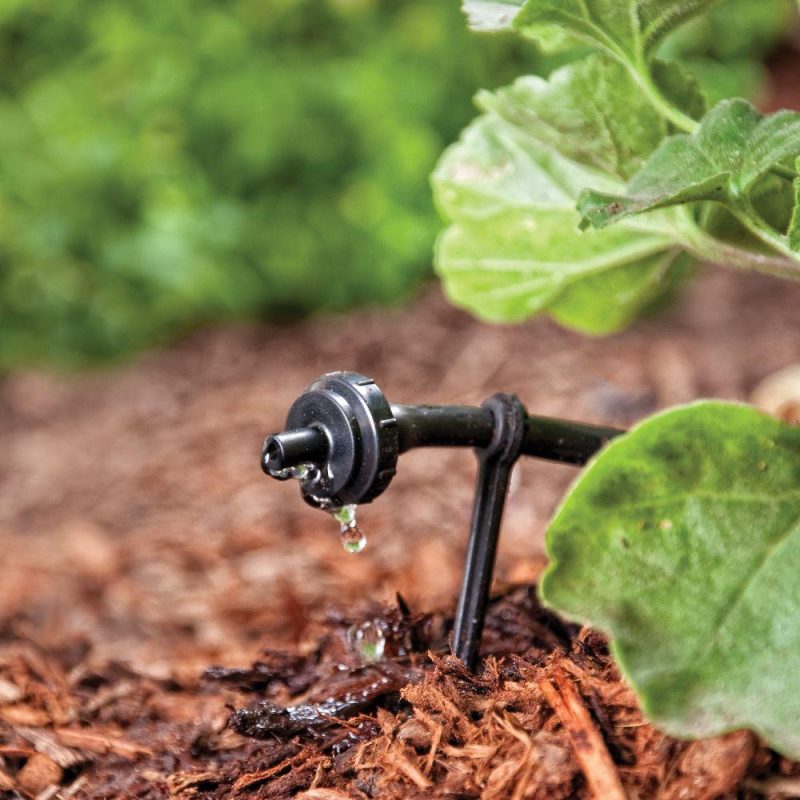 9 Things to Know About Kitchen Gardening ~ Bless My Weeds