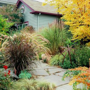 Tips for Designing With Color in Your Garden ~ Bless My Weeds