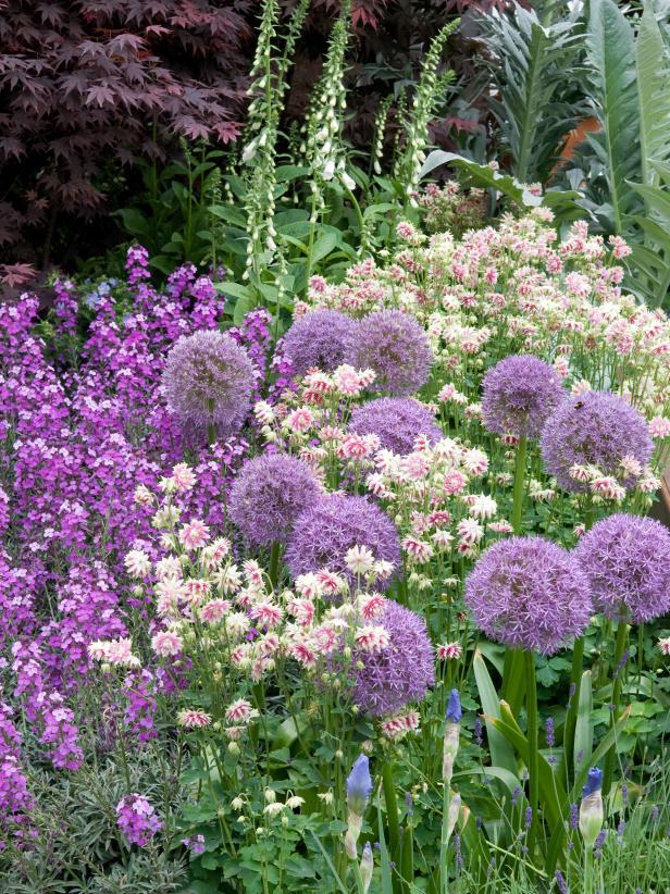 Tips for Designing With Color in Your Garden ~ Bless My Weeds