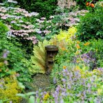 Tips for Designing With Color in Your Garden ~ Bless My Weeds