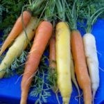 How to Grow the Best Root Veggies ~ Bless My Weeds