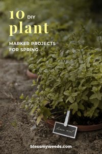 10 DIY Plant Marker Projects for Spring ~ Bless My Weeds