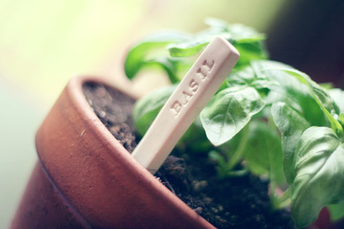 10 Simple and Stylish DIY Seed Labels - gardenpicsandtips.com
