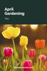 April Gardening Tips ~ Bless My Weeds