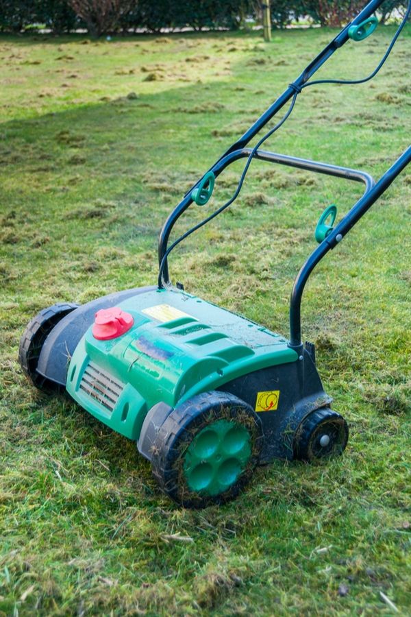 Fall Lawn Maintenance: Should You Power Rake Or Aerate?