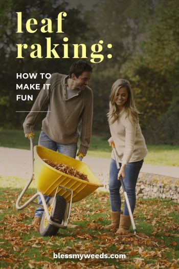 Leaf Raking: How To Make It Fun ~ Bless My Weeds