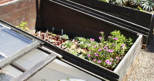 Gardening Terms: Cold Frame Gardening ~ Bless My Weeds