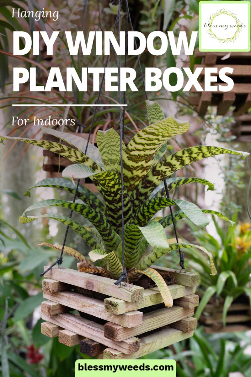 Hanging DIY Window Planter Boxes For Indoors ~ Bless My Weeds