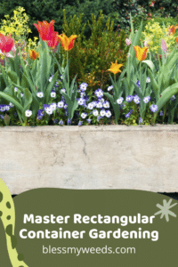 Rectangular Container Gardening Tips: Container Gardening - Tips And ...